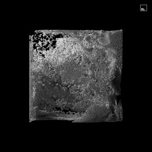 Third Culture & Hiroko Yamamura & David LeSal - Birds [OCTOPUS]