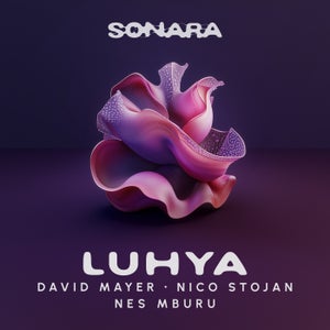 Nico Stojan & David Mayer ft. Nes Mburu - Luhya [SONARA]