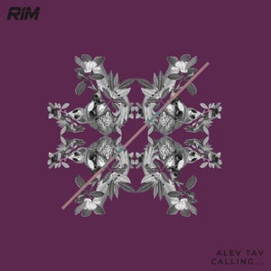 Alev Tav Tracks / Remixes Overview
