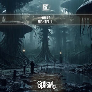 FAWZY Tracks / Remixes Overview