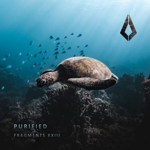 Nora En Pure Purified Radio 474 2025 09 21
