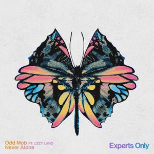 Odd Mob ft. Lizzy Land - Never Alone (Joris Voorn Remix) [EXPERTS ONLY]