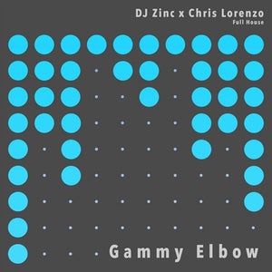Chris Lorenzo & DJ Zinc - Gammy Elbow (Rhiannon Roze Bootleg)
