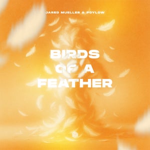 Jared Mueller & Poylow - Birds Of A Feather [FUTURE HOUSE CLOUD]