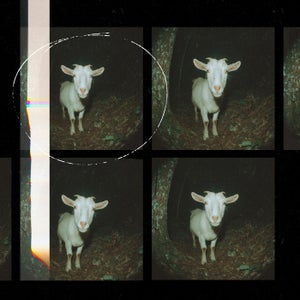 Anja Schneider - Scary Goat [SOUS]