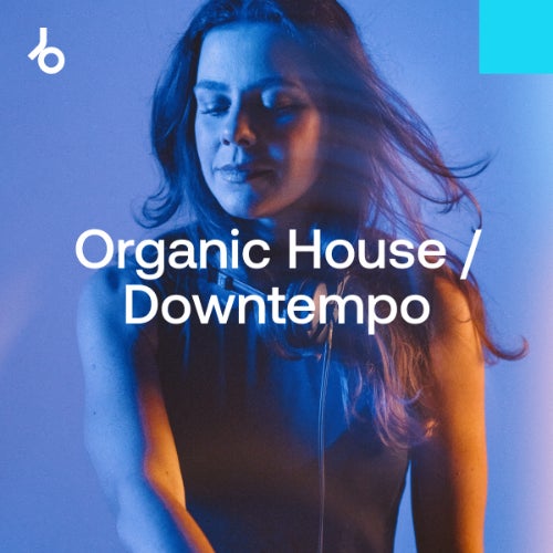 Hype Chart Toppers 2024: Organic H / D Chart by Beatport on Beatport | Music Download ...