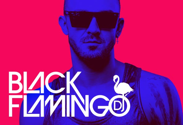 Black Flamingo Music & Downloads on Beatport